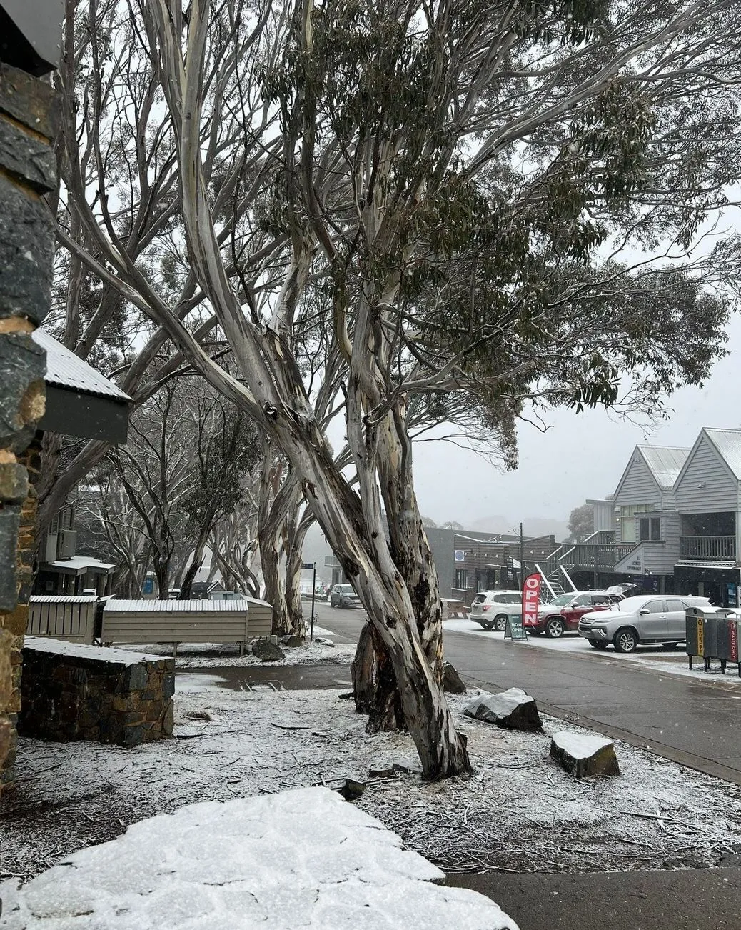 Can You Go to Mt Buller for Free?